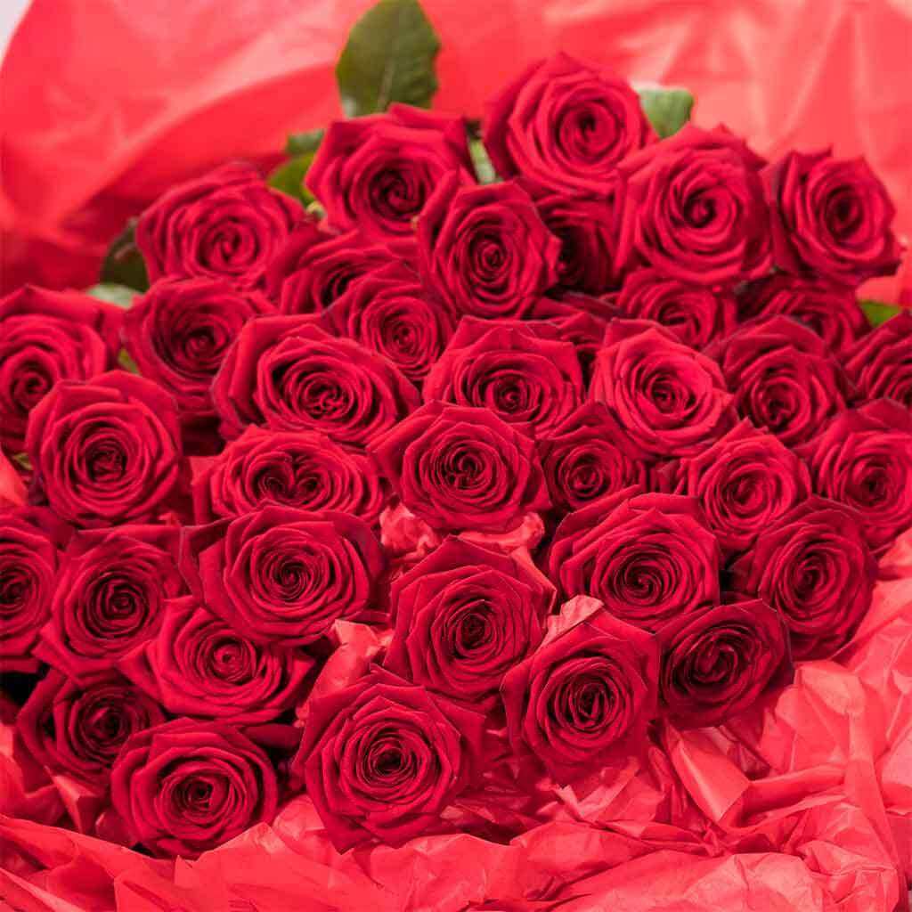 Long Stemmed Red Roses – Pulbrook & Gould Flowers London