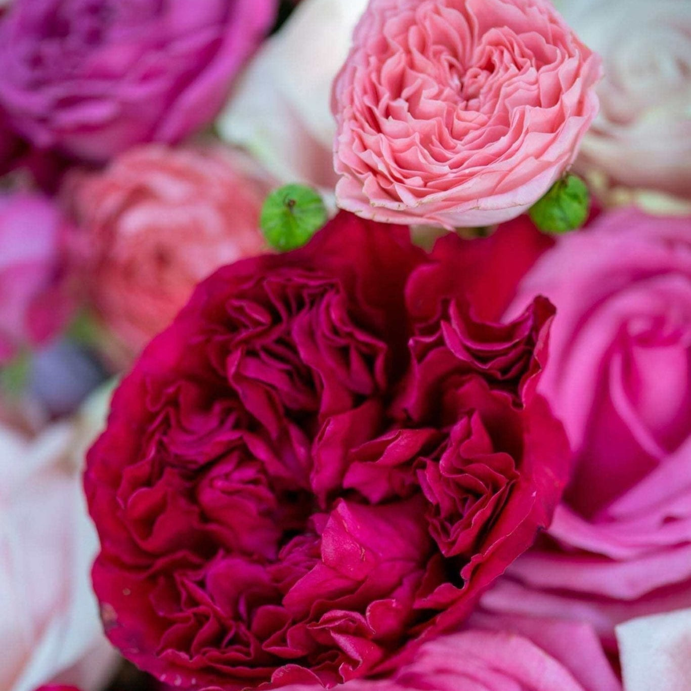 Chatsworth Bouquet or Vase Arrangement – Pulbrook & Gould Flowers London