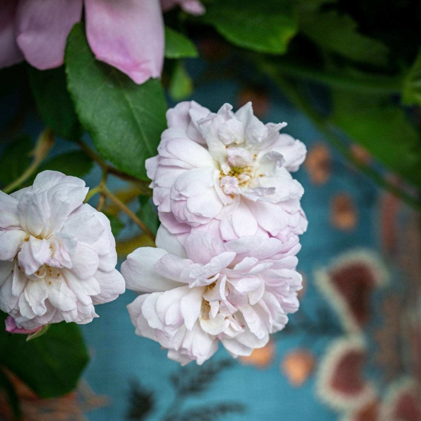 The Lady Pulbrook Hatbox – Pulbrook & Gould Flowers London