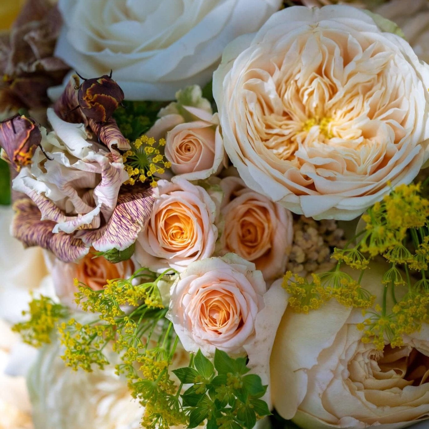White and Peach Floral Harmony Bouquet or Vase Arrangement – Pulbrook ...